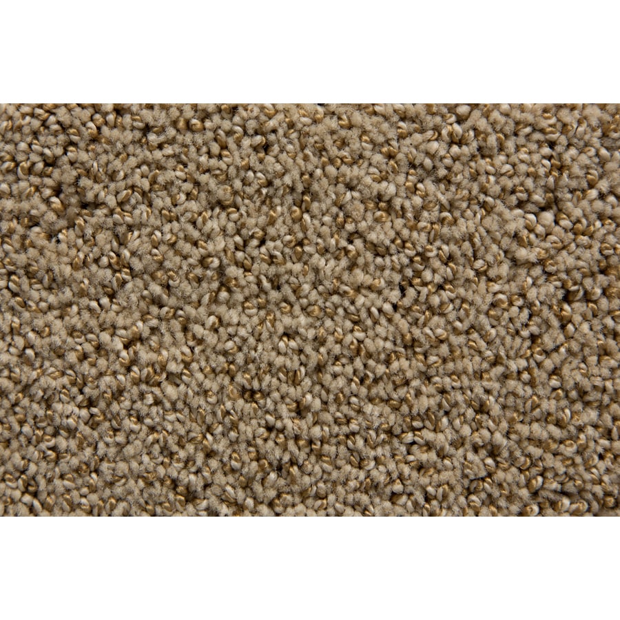 Moda Carpet Trusoft Stainmaster Gallery Limestone Cut and Loop Indoor ...