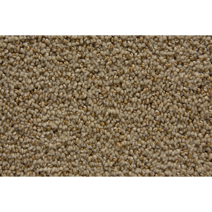 Moda Carpet Trusoft Stainmaster Gallery Thatch Cut and Loop Indoor ...