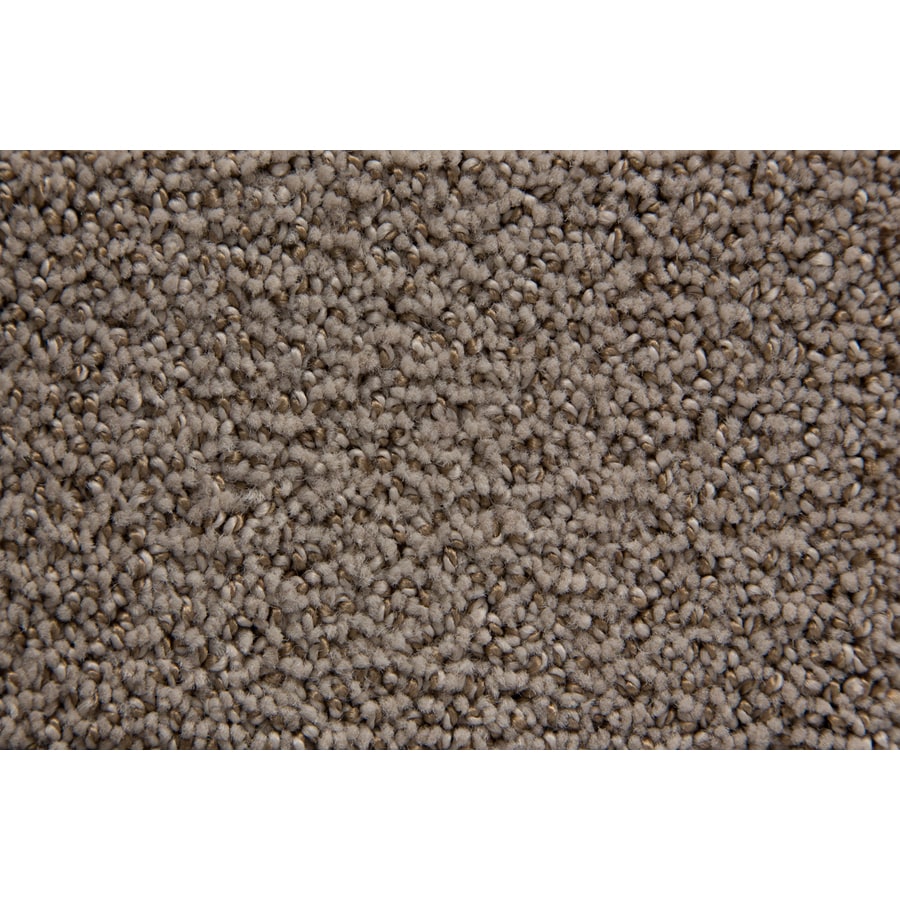 Moda Carpet Trusoft Stainmaster Gallery Safari Cut and Loop Indoor ...