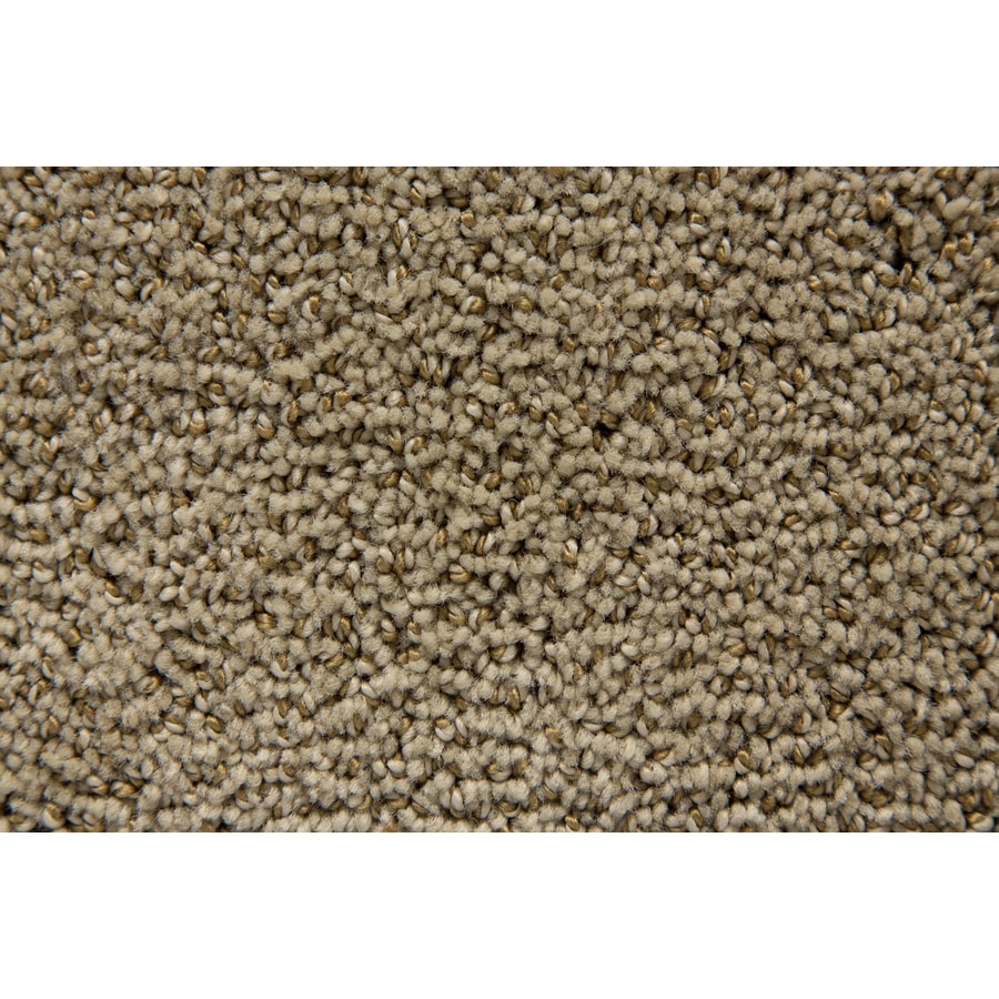 Moda Carpet Trusoft Stainmaster Gallery Kona Cut and Loop Indoor Carpet ...