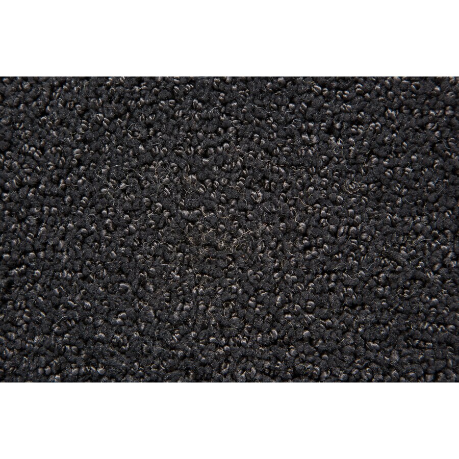 Moda Carpet Trusoft Stainmaster Gallery Infinity Cut and Loop Indoor ...