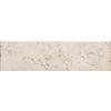 Del Conca Rialto White Thru Body Porcelain Bullnose Tile (Common: 3-in ...