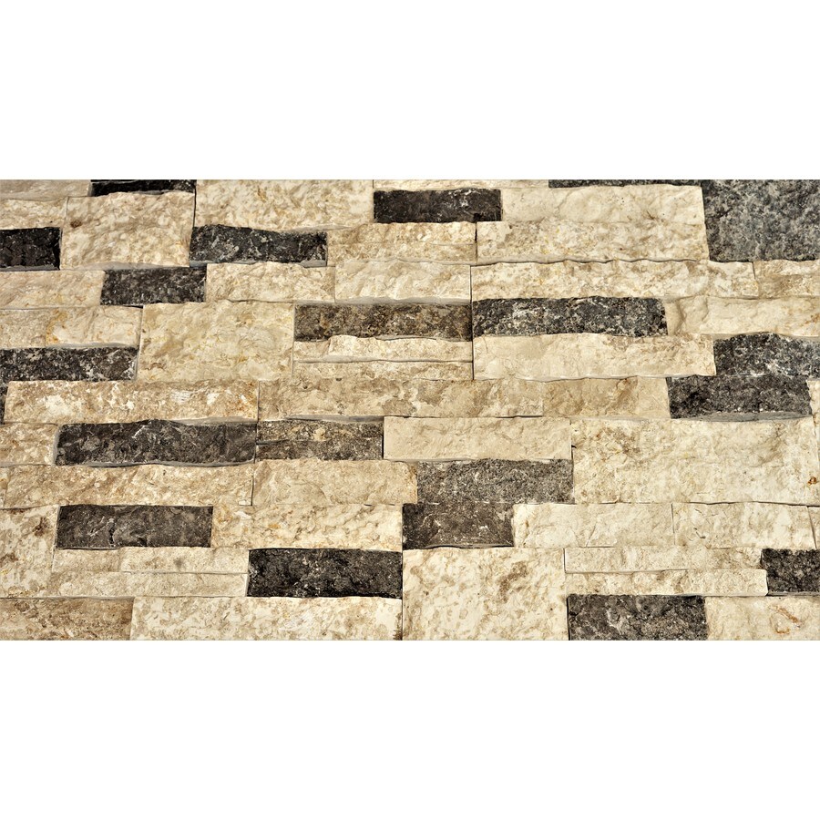 Natural Stone Veneer 50-sq ft Oyser Shell Stone Veneer in the Stone ...