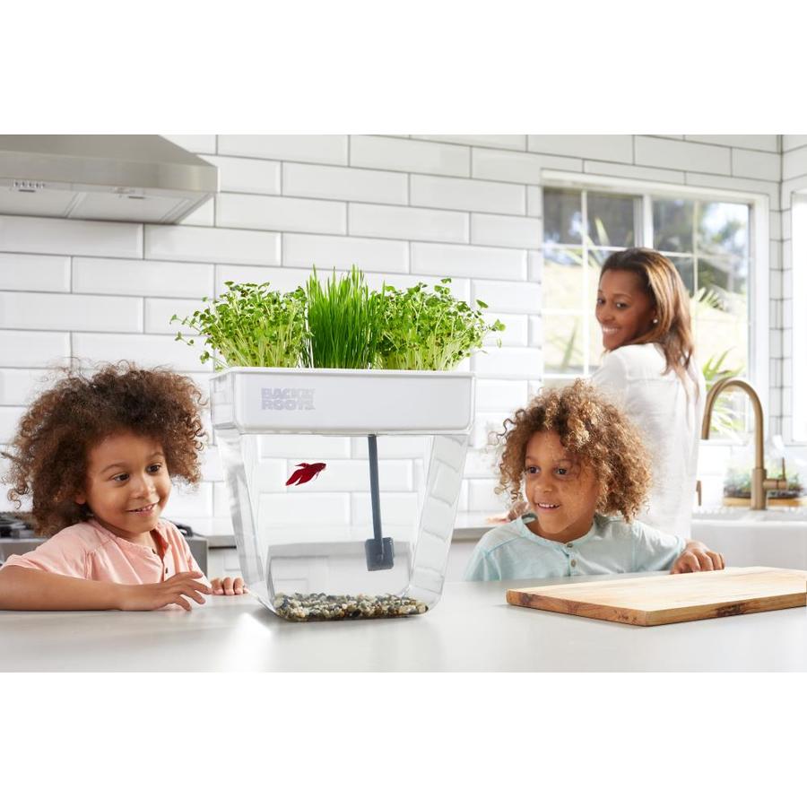 Back to the Roots Water Garden Aquaponic Self-Cleaning Fish Tank That ...