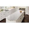 Allen + roth Blushing Ivory Quartz Kitchen Countertop Sample at Lowes.com