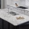 Allen + roth Barrow Granite Kitchen Countertop Sample at Lowes.com