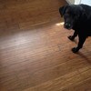 Cali Bamboo Fossilized 5-in Antique Java Bamboo Solid Hardwood Flooring ...