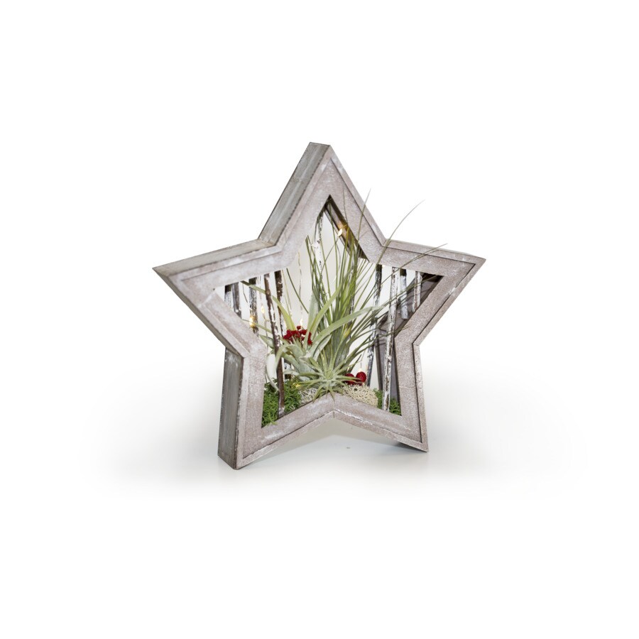LIVETRENDS Lighted Gray Star Tabletop Decoration (1-pack) at Lowes.com