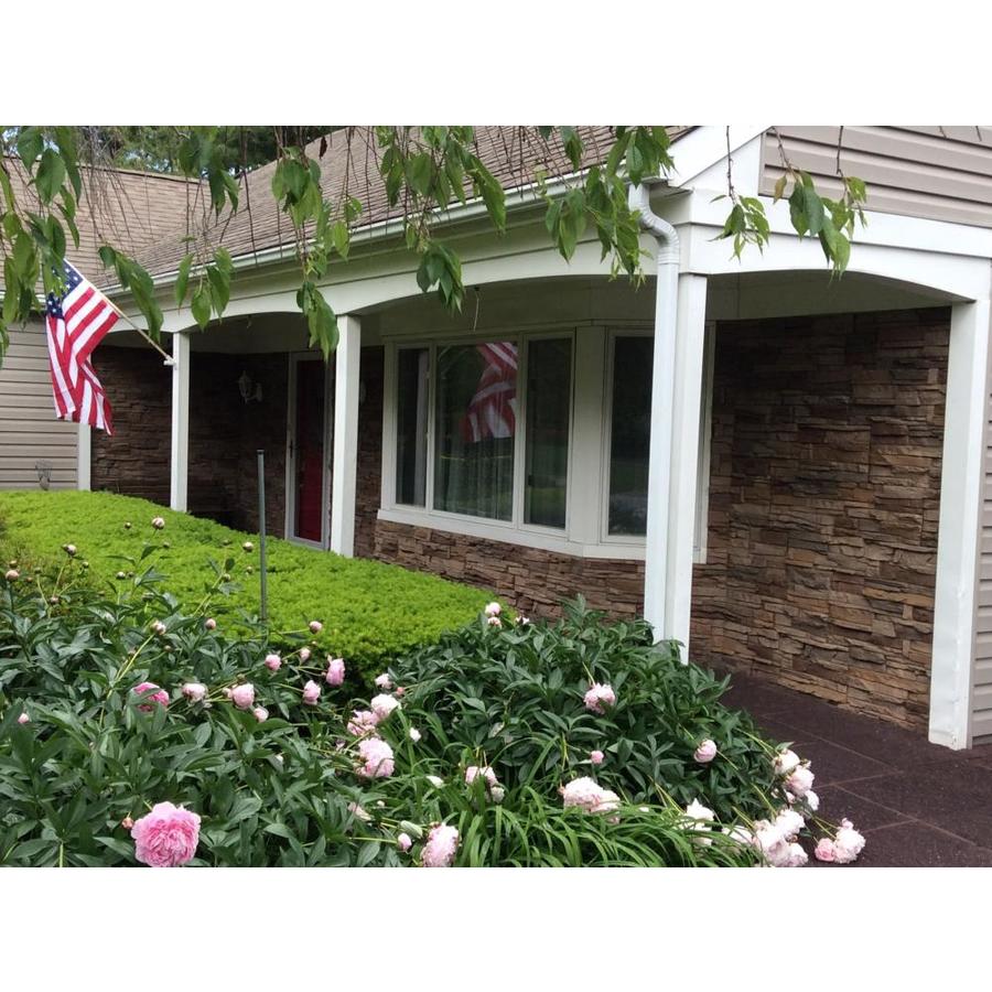 GenStone G2 Exterior 3.13-sq ft Tan/Brown Faux Stone Veneer in the ...