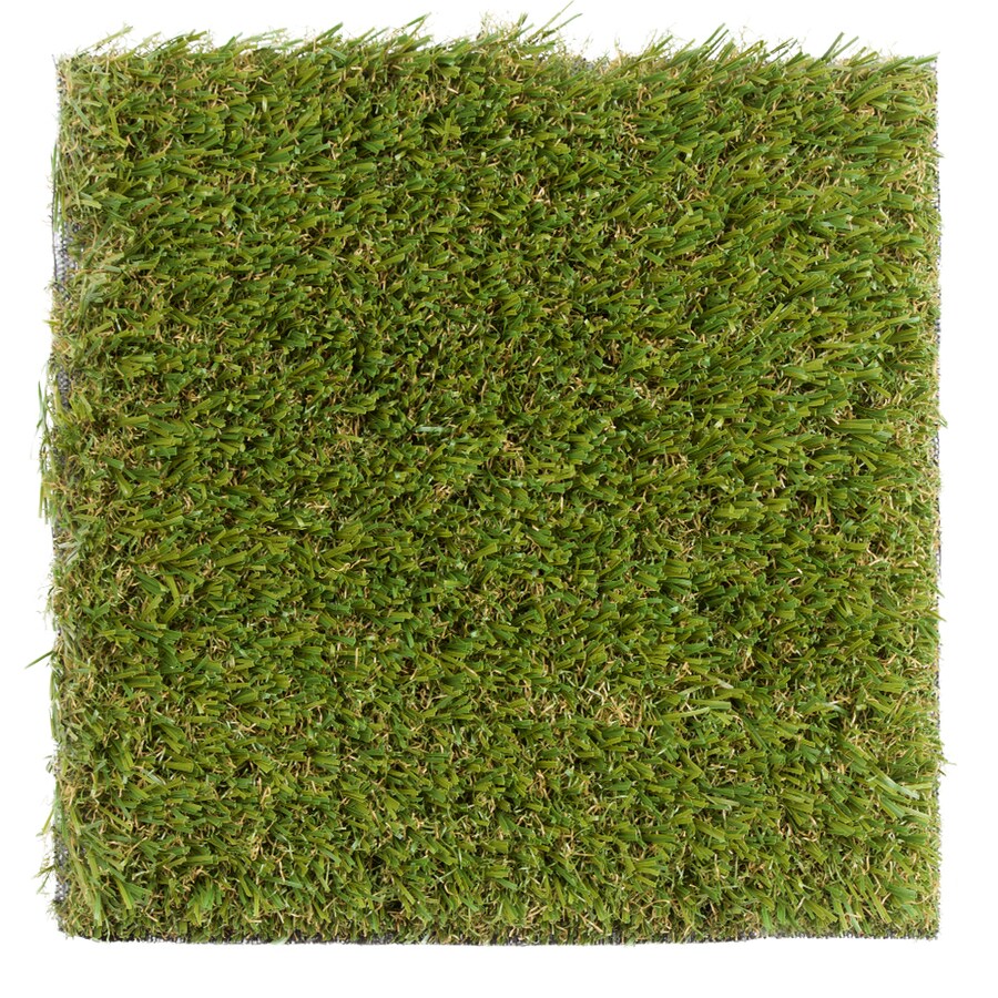 SYNLawn UltraLush Premium 6-in x 6-in Artificial Grass Sample at Lowes.com