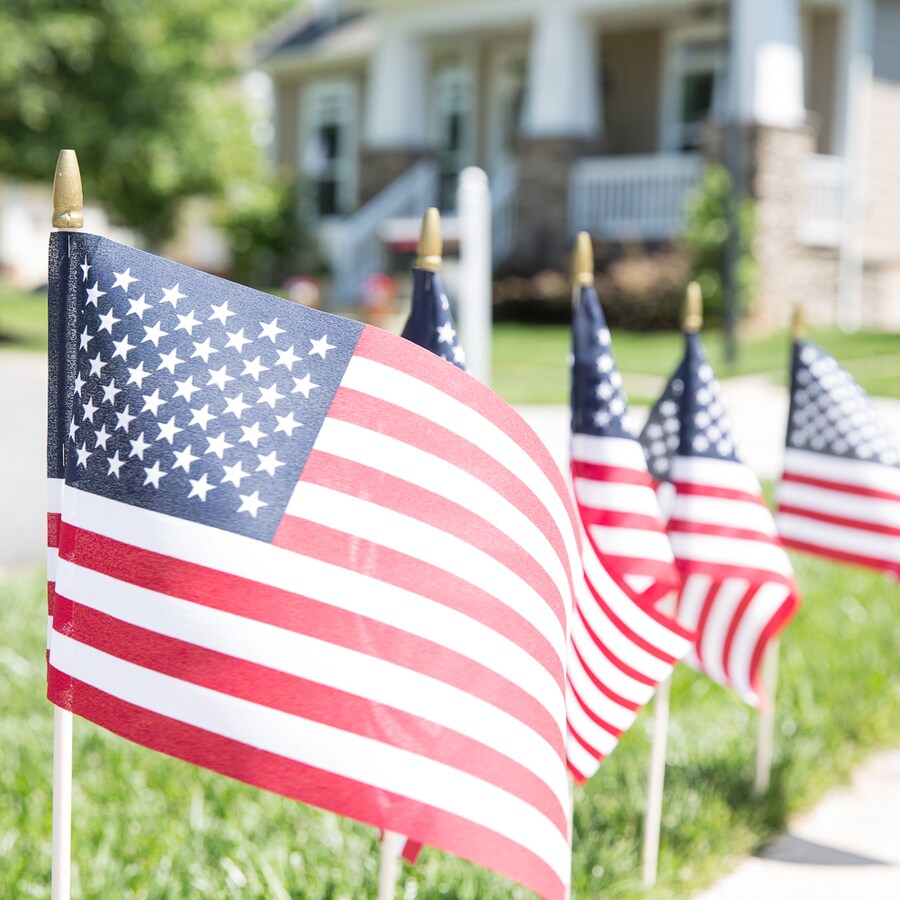 Independence Flag 1-ft W x 0.66-ft H American Flag in the Decorative ...