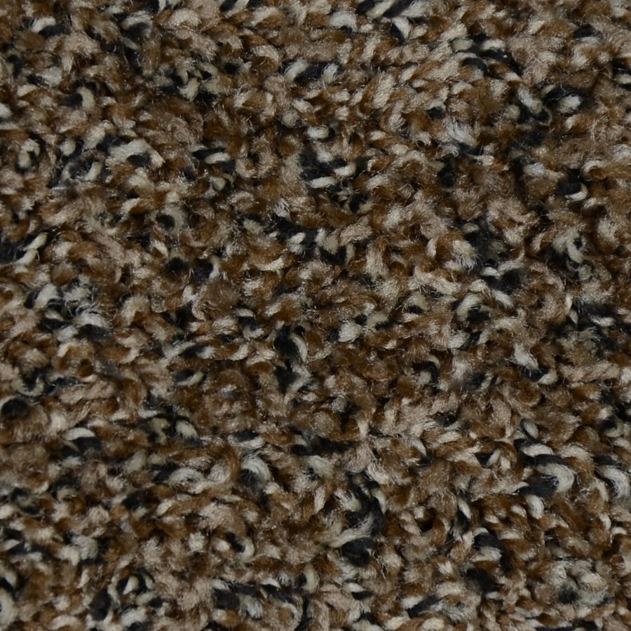 Engineered Floors Cornerstone Cielo Grande Shag/Frieze Interior Carpet ...