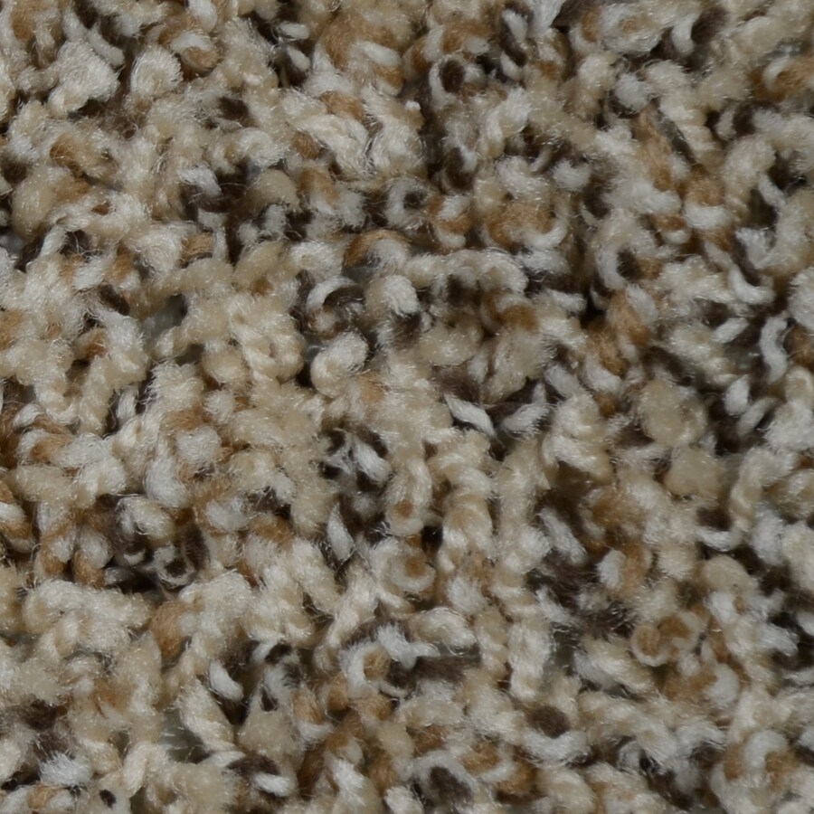 Engineered Floors Cornerstone Pinata Shag/Frieze Interior Carpet at ...
