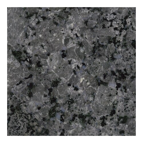 SenSa Cosmic Grey Granite Kitchen Countertop Sample in the Kitchen ...