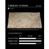 SenSa Caroline Summer Granite Kitchen Countertop Sample at Lowes.com