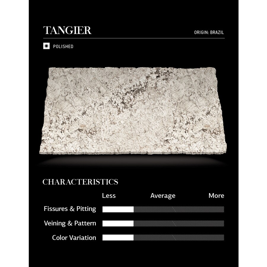 SenSa Tangier Granite Off-white Kitchen Countertop Sample in the ...