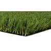 Everlast Tacoma Pro Wide Fescue at Lowes.com