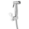 Brondell Stainless Steel Toilet-Mounted Handheld Bidet Sprayer at Lowes.com