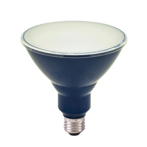 Energetic 85-Watt EQ PAR38 Blue Decorative Light Bulb in the Decorative ...