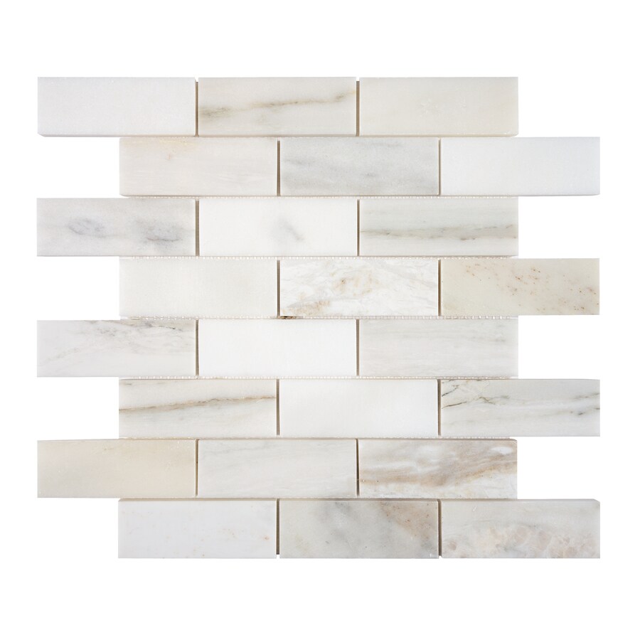 Satori Bianco Perla 12-in x 12-in Polished Natural Stone Marble Linear ...