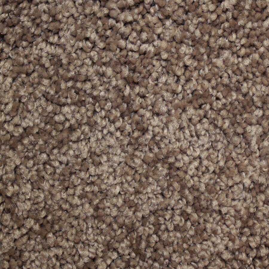 Simple Select Durham Carpet at Lowes.com