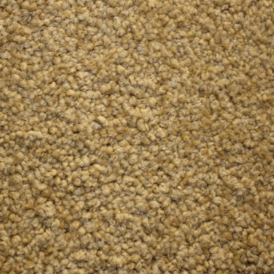 STAINMASTER PetProtect West Bend Plateau Textured Interior Carpet at ...