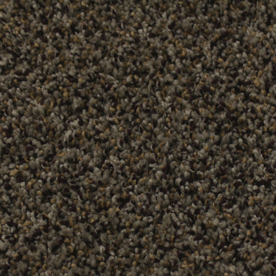 STAINMASTER Essentials Nolin 12-ft Textured Interior Carpet at Lowes.com