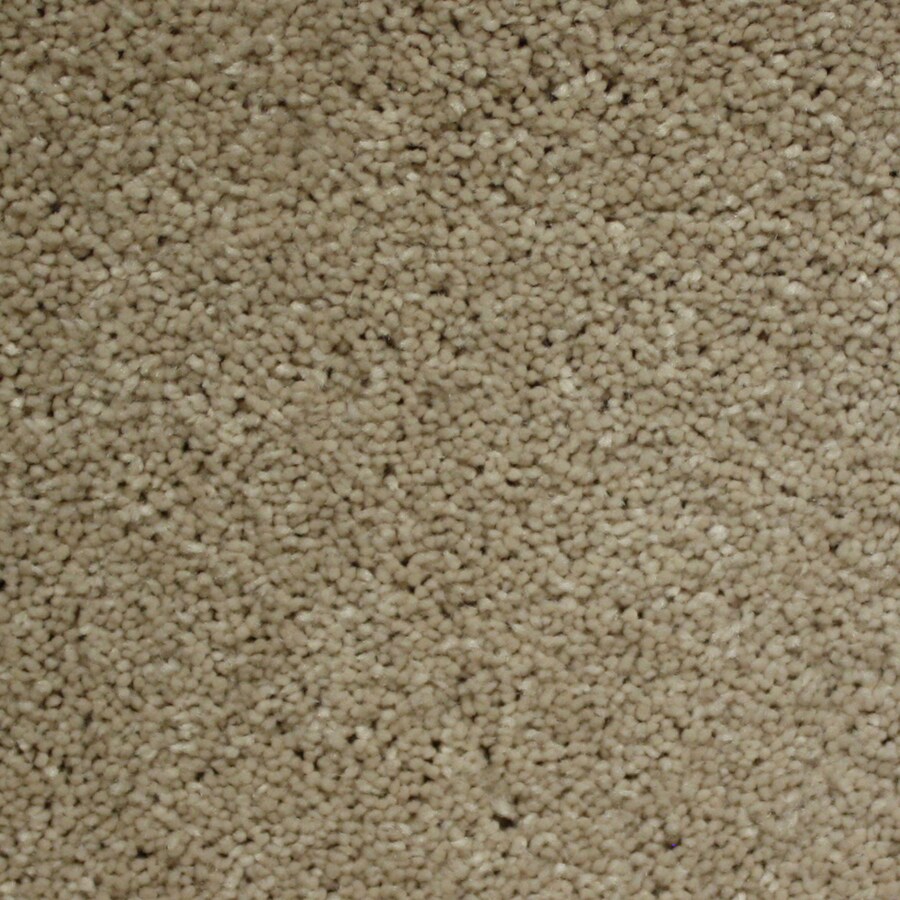 Looptex Mills Essentials Captivate Sweetness Carpet at Lowes.com