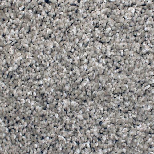 STAINMASTER Essentials Marl Glossy Taupe Textured Carpet Sample ...