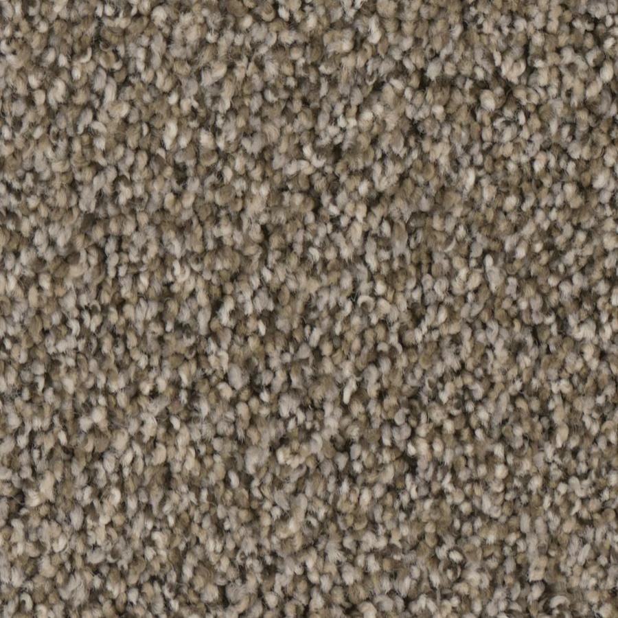 STAINMASTER PetProtect Allure Noble Textured Carpet (Interior) at Lowes.com
