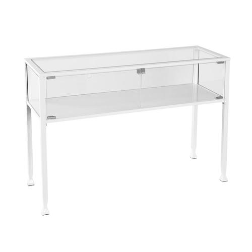 Boston Loft Furnishings Eria Matte White Casual Console Table in the ...
