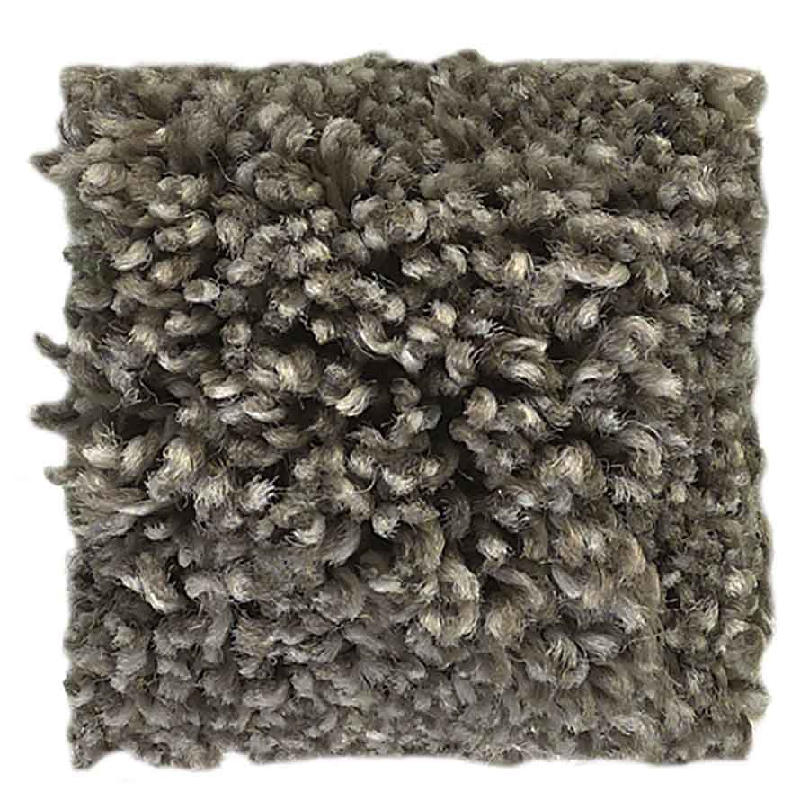 STAINMASTER (Sample) PetProtect Baxter II Doodle Plush Carpet at Lowes.com
