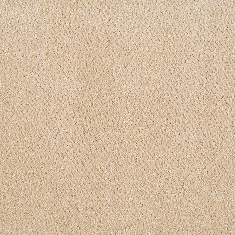 STAINMASTER High Spirits Calico Beige Carpet Sample at Lowes.com