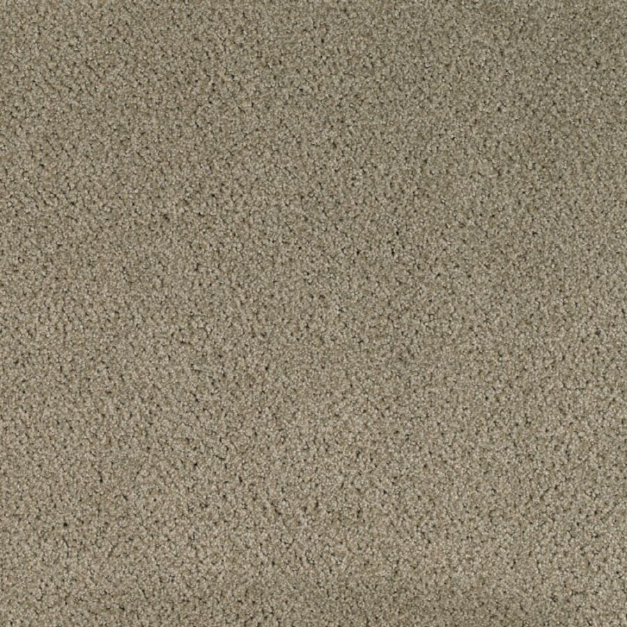 STAINMASTER High Spirits Picnic Basket Carpet Sample at Lowes.com