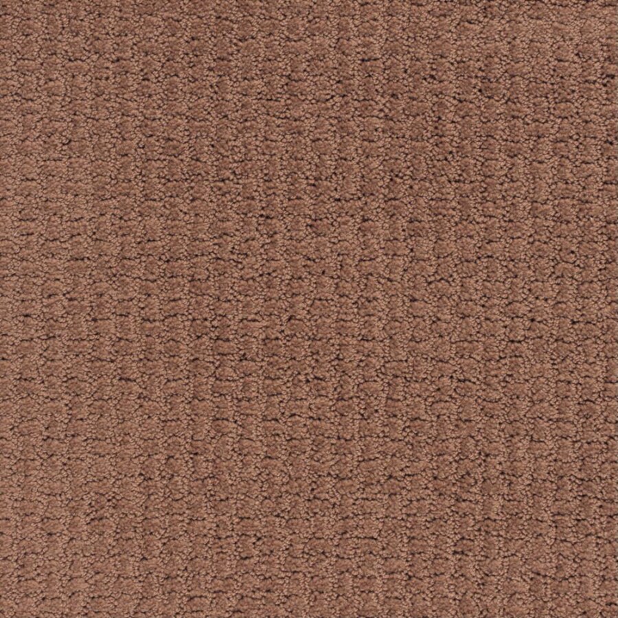 STAINMASTER Abundant Life Copper Coin Carpet Sample at Lowes.com