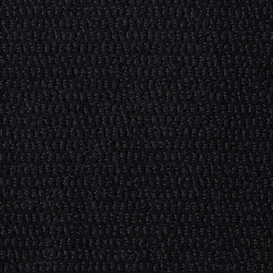 STAINMASTER Wine and Dine Stained Glass Carpet Sample at Lowes.com