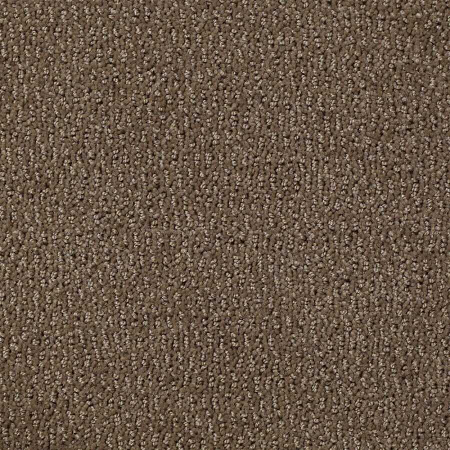 STAINMASTER Wine and Dine Riverbank Carpet Sample at Lowes.com