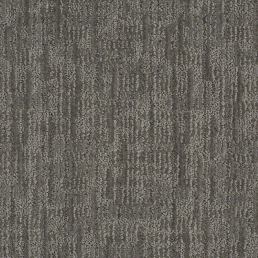 STAINMASTER Active Family Unmistakable Power Gray Carpet Sample at ...