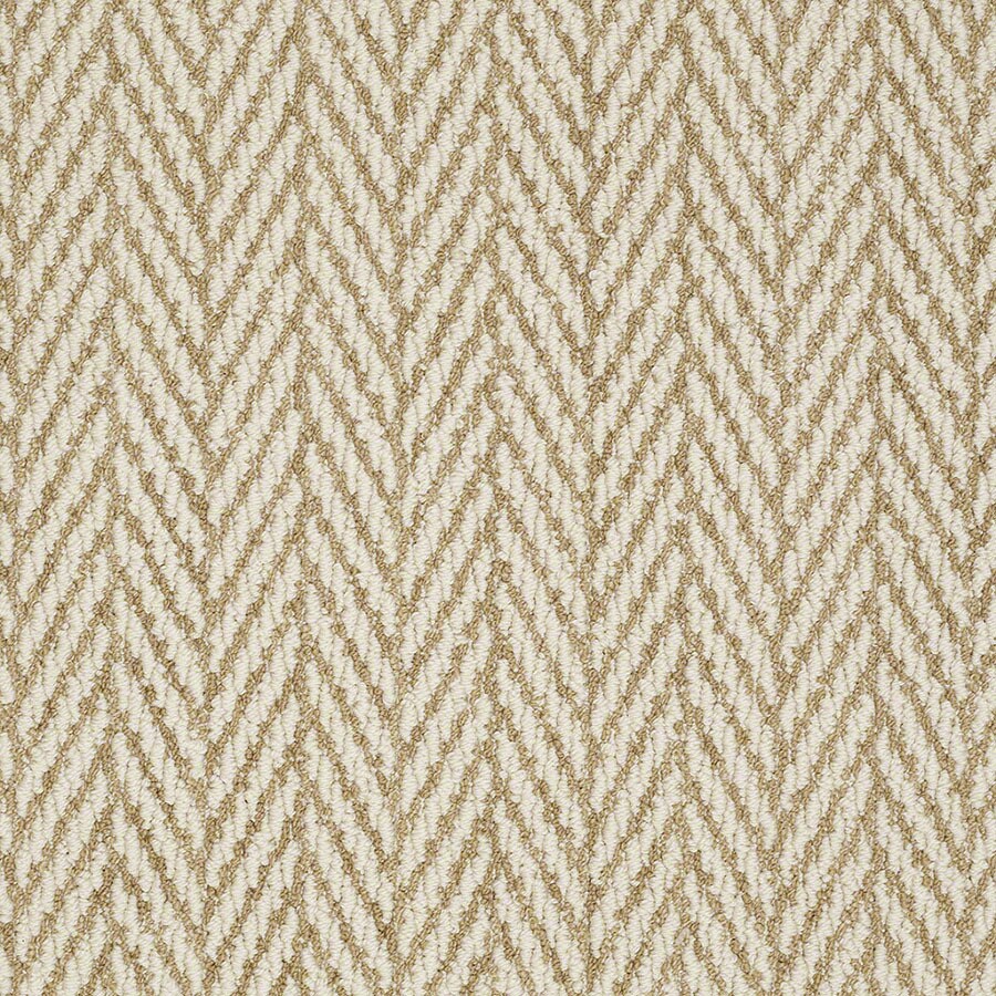 STAINMASTER Active Family Apparent Beauty Desert Tan Carpet Sample at ...