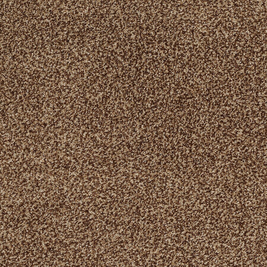 STAINMASTER Peaceful Mood II Rustic Carpet Sample at Lowes.com