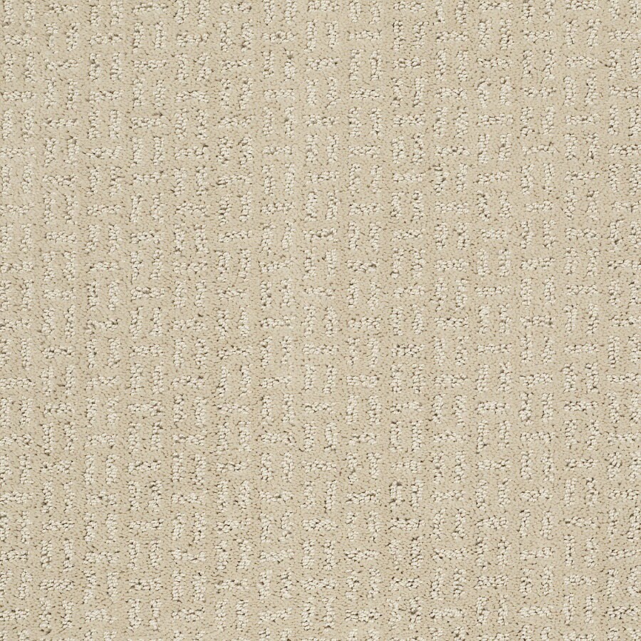 STAINMASTER Evolution (S) Bone Carpet Sample at Lowes.com