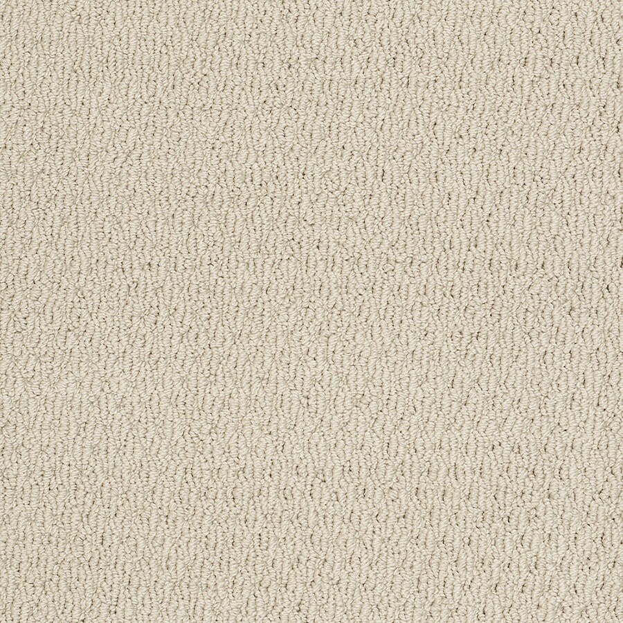 STAINMASTER One Last Dance Sandstone Carpet Sample at Lowes.com