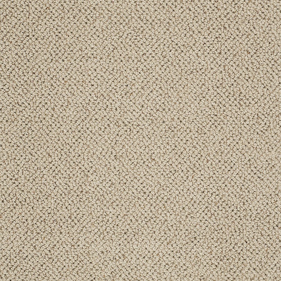 STAINMASTER Curtain Call Brownstone Carpet Sample at Lowes.com