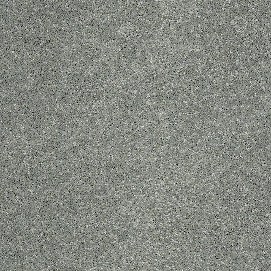 STAINMASTER Luscious IV (S) Spa Carpet Sample at Lowes.com