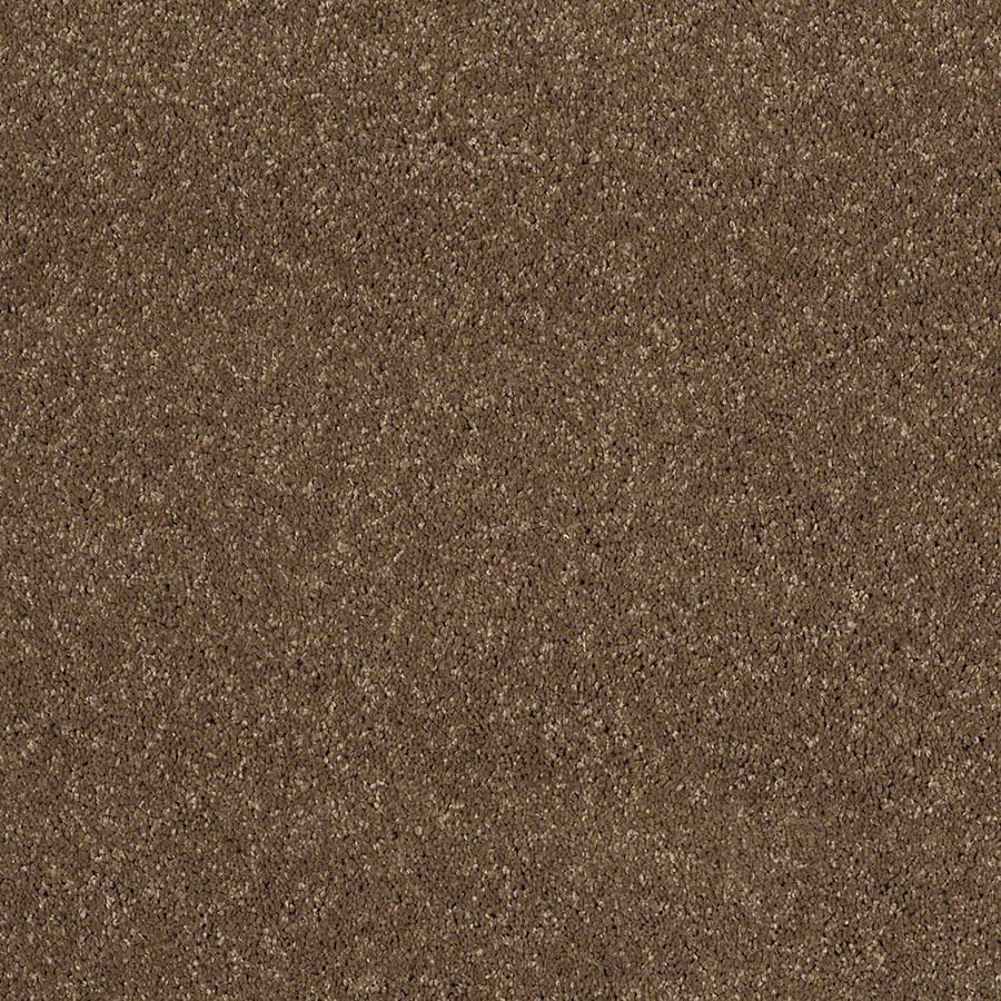 STAINMASTER Luscious IV (S) Chestnut Carpet Sample at Lowes.com