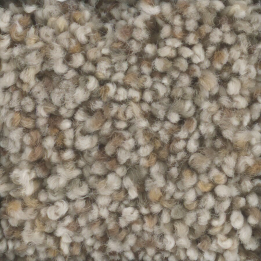 STAINMASTER TruSoft Pronounced Beauty II Pebble Carpet Sample at Lowes.com