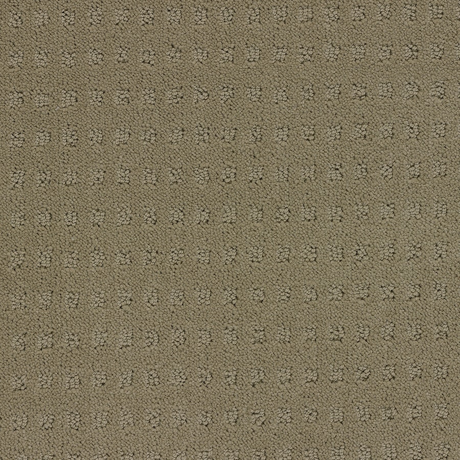 STAINMASTER TruSoft Glen Willow Caramel Carpet Sample at Lowes.com