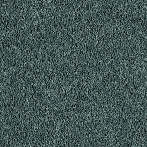 STAINMASTER Essentials Soft and Cozy I Timeless Teal Carpet Sample at ...