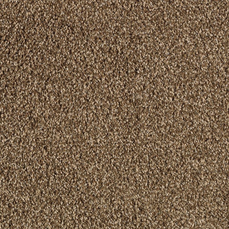 STAINMASTER Seabourne Active Family Coconut Shell Frieze Carpet Sample ...