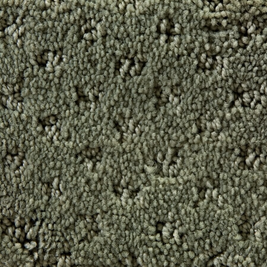 STAINMASTER Exhilaration Green Carpet Sample at Lowes.com